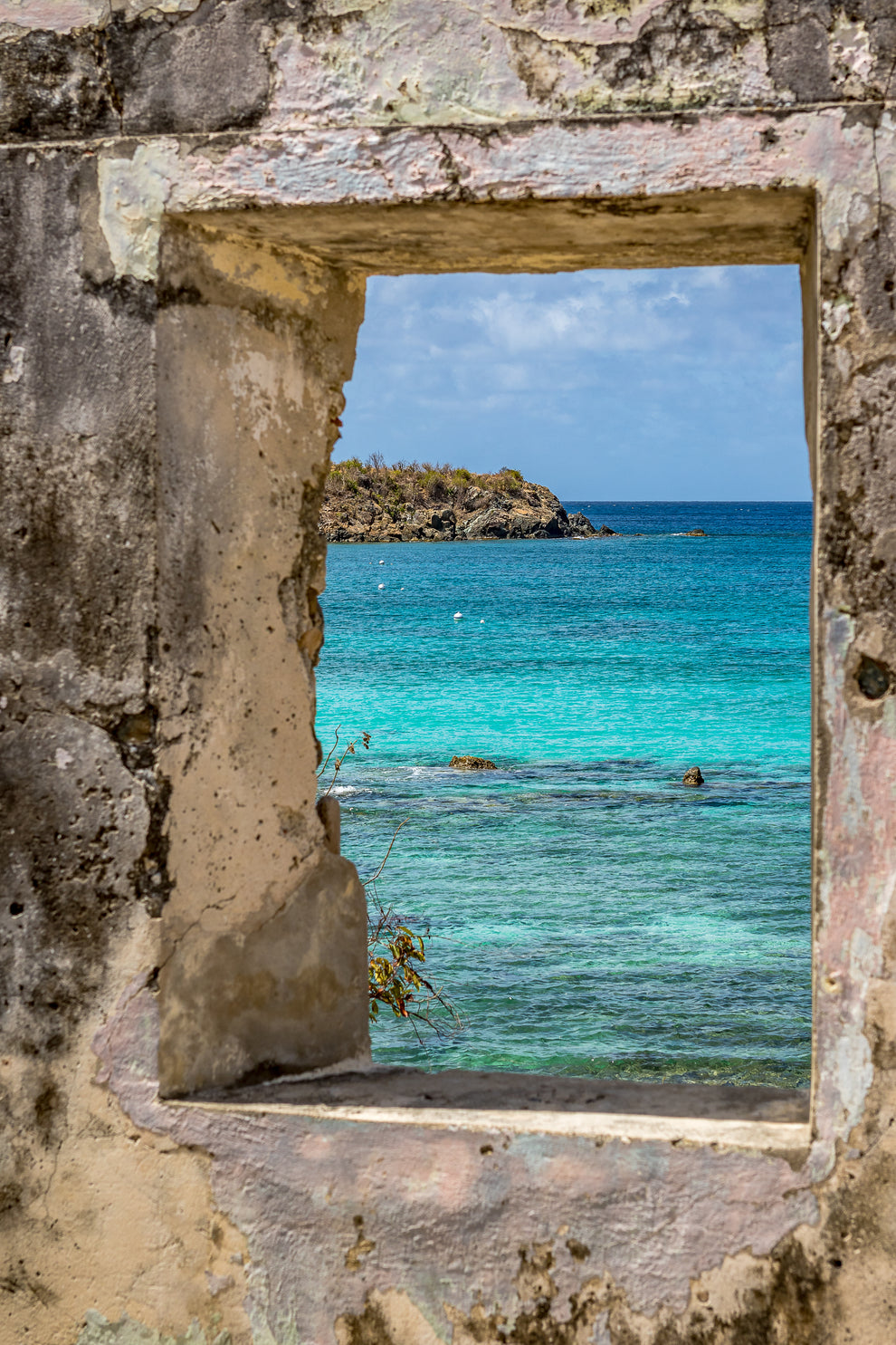 Window to the World – The Lost Turtle